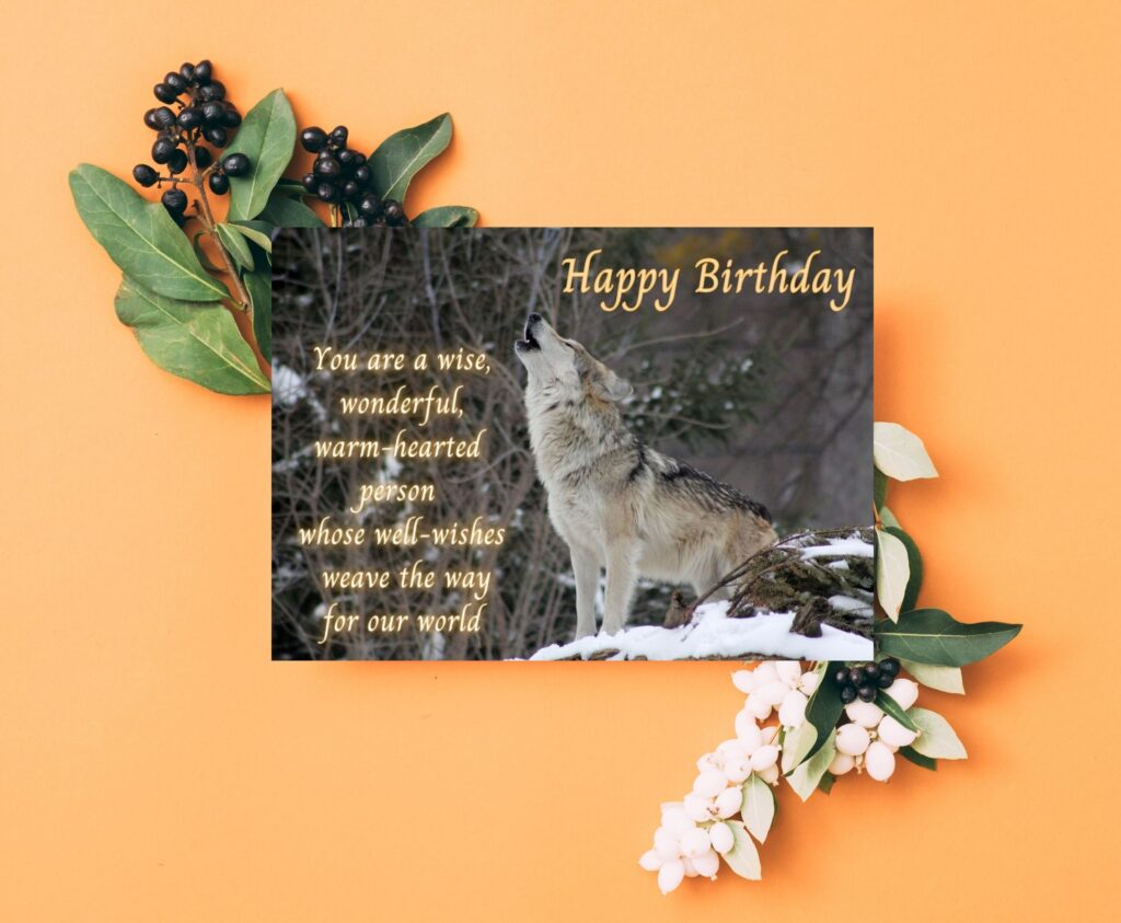 Wolf Birthday Card - Lara De Ann